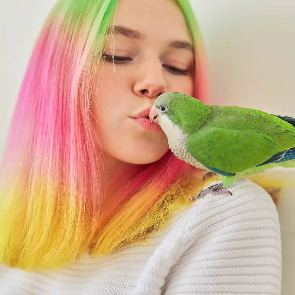 About Us and Our Passion for Parrots - Northern Parrots