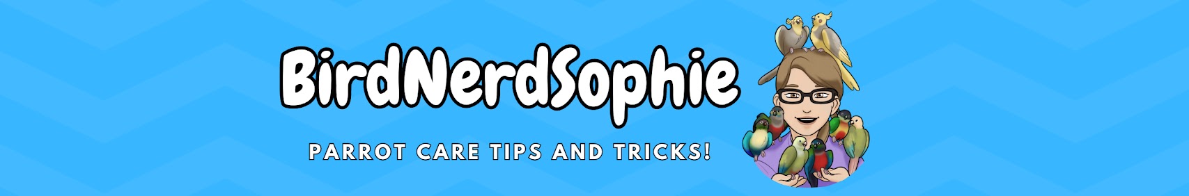 BirdNerdSophie and The Parrot Teacher