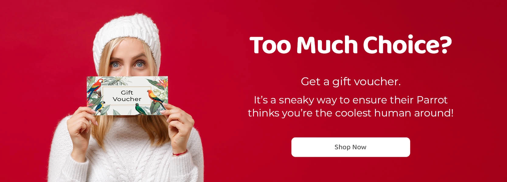 Christmas Parrot Goodies & Gift Ideas