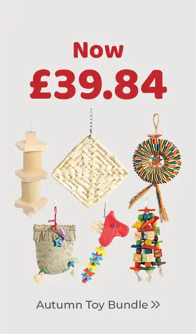 Java | Java Wood Trees, Parrot Stands, Perches And Toys