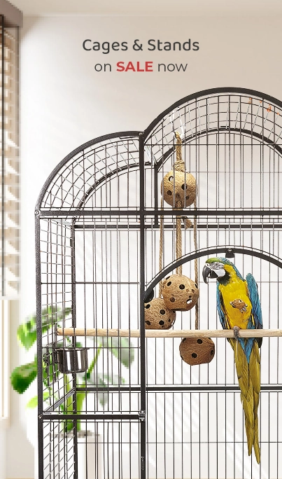 Java | Java Wood Trees, Parrot Stands, Perches And Toys