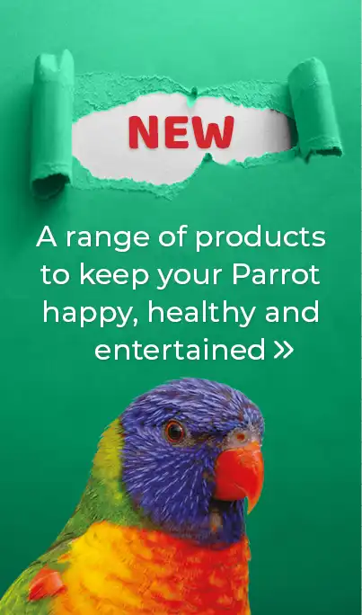 Java | Java Wood Trees, Parrot Stands, Perches And Toys