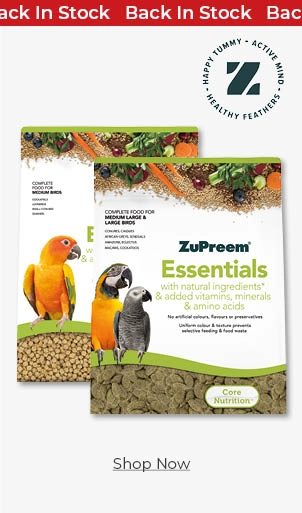 Java | Java Wood Trees, Parrot Stands, Perches And Toys