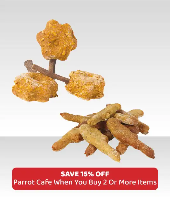 Parrot Supplies | Parrot Shop | Northern Parrots