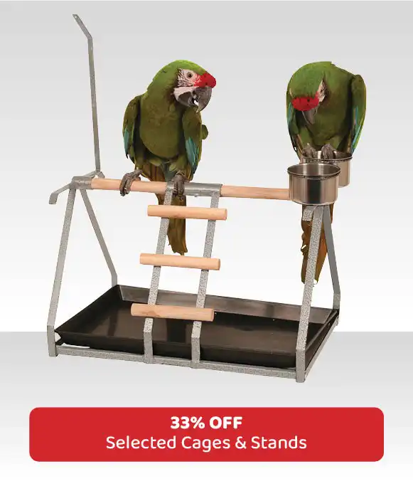 Parrot Supplies | Parrot Shop | Northern Parrots