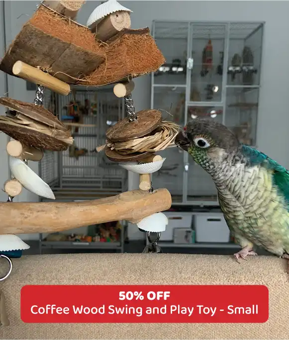 Parrot Supplies | Parrot Shop | Northern Parrots