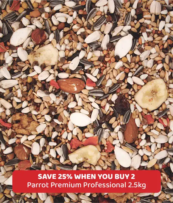 Parrot Supplies | Parrot Shop | Northern Parrots